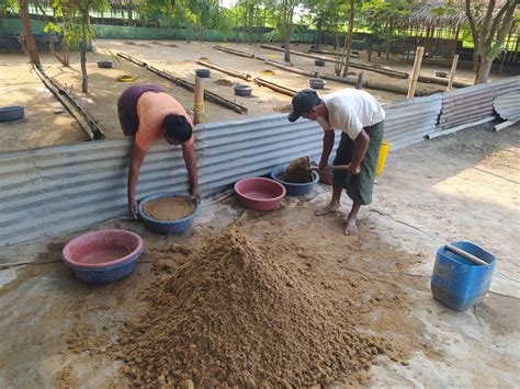 ပေါင်းတည်၌ ဒေသတွင်းမွေးမြူရေးကဏ္ဍထုတ်လုပ်မှု ဖွံ့ဖြိုးတိုးတက်ရေး က