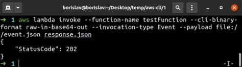 Invoke Lambda Functions With Aws Cli Complete Guide Bobbyhadz