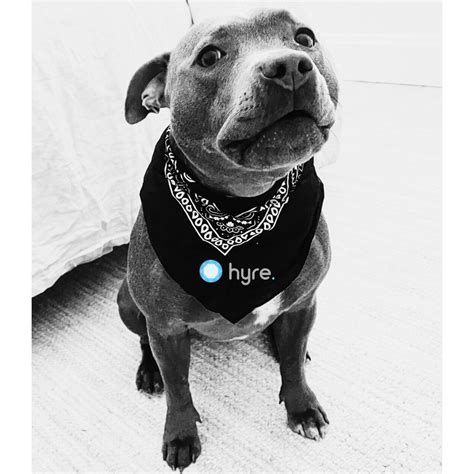 👨‍🦰joe Butler On Linkedin Recruitwithbillie Micdrop