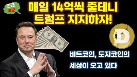 긴급속보 처음엔 가짜 뉴스인줄 알았다~ 일론머스크가 매일 매일 14억원을 지급하겠다고 밝힌 이유와 도지코인 비트코인의 밝은