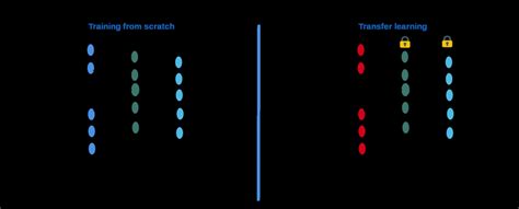 2 Transfer Learning Paradigm Download Scientific Diagram