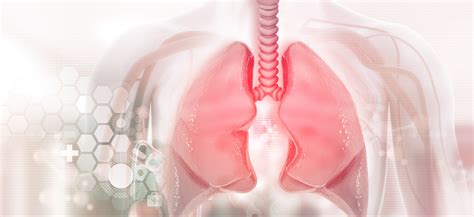 Mejorar Enfermedades Sistema Respiratorio Caliz Greenaloe