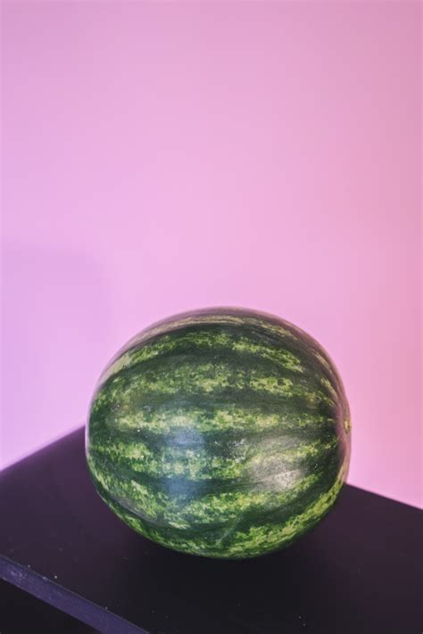 무료 이미지 잎 식품 녹색 생기게 하다 수박 원 구체 모양 꽃 피는 식물 육상 식물 오이 박과 멜론 가족