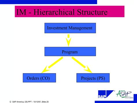 Org Structure Sap Ppt
