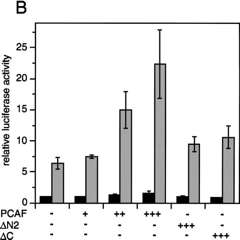 The Histone Acetylase Pcaf Is A Nuclear Receptor Coactivator