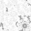 Tapeworm Sex Chamber