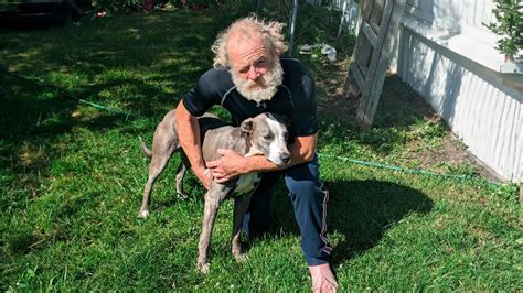 La determinación de un perro que corrió 6 kilómetros para buscarle ayuda a su dueño tras