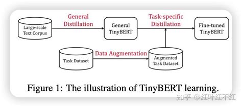 tinybert distilling bert for natural language understanding 知乎