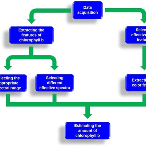 Flowchart Of Different Stages Of Non Destructive Estimation Of Download Scientific Diagram