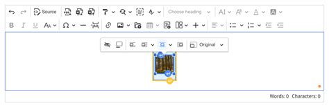 Unable To Focus The Table Toolbar When An Image Is Inserted Into A