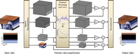 figure 1 from efficient denoising approach based eulerian