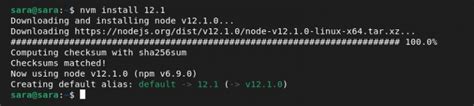 how to install node js on debian