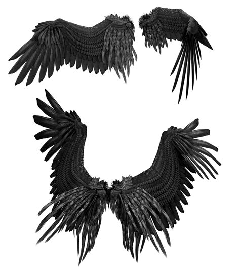 Alas Ala Pájaro Imagen Gratis En Pixabay Pixabay