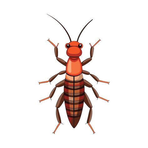Cute Earwig Character For Educational Use Illustration 58981213 Vector Art At Vecteezy