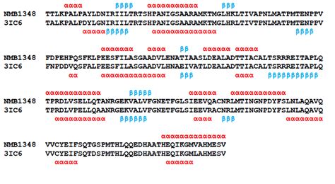 structure based pair wise sequence alignment of n meningitidis and n download scientific
