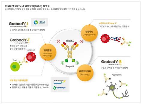 에이비엘바이오 “이중항체로 기존 면역항암제의 한계 극복 가능하다” 바이오타임즈