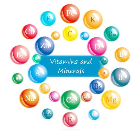Vitamins Minerals And Their Functions At Josefa Jankowski Blog