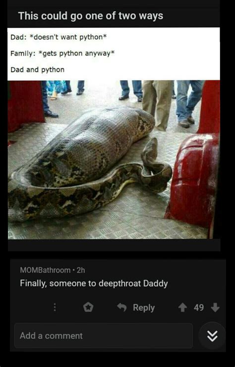 Thanks I Hate Dad And Python Rtihi