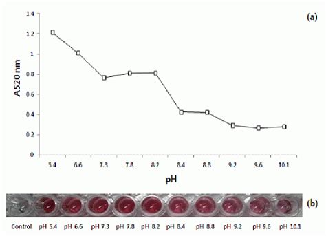 A Optimization Of Experimental Conditions For Preparation Of Download Scientific Diagram