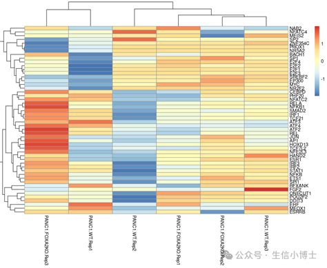 dorothea collectri—转录因子活性评分 · issue 4840 · ixxmu mp duty · github