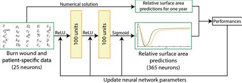 Graphical Overview Of Our Proposed Feed Forward Neural Network Download Scientific Diagram