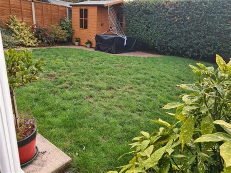 Large Back Garden Artificial Grass Replacement Case Study Easigrass