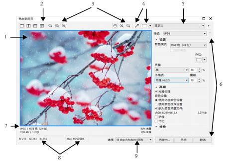 Coreldraw 帮助 导出用于 Web 的位图