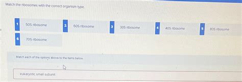 Solved Match The Ribosomes With The Correct Organism