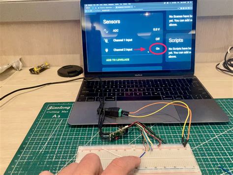 Getting Started With Shelly Uni An Example Project