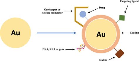 Gold Nanoparticles Functionalization With Different Kind Of Ligands
