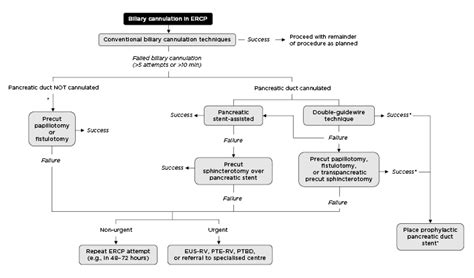 Difficult Biliary Cannulation In Endoscopic Retrograde Cholangiopancreatography An Overview Of