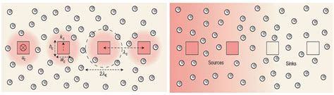 Cell Biomaterial Interaction Strategies To Mimic The Extracellular
