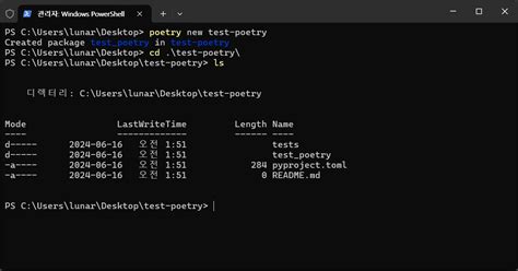 Python 윈도우에서 Poetry 설치하기