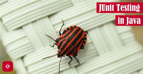 Junit Testing In Java The Renegade Coder