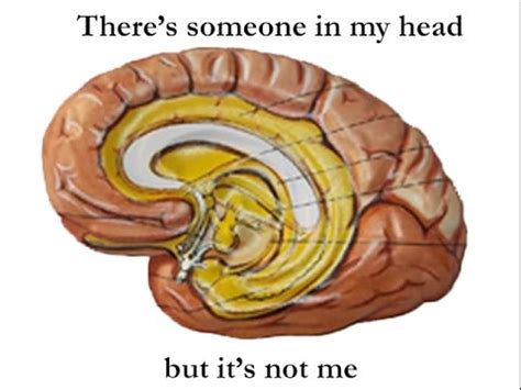 Theres Someone In My Head But Its Not Me YouTube
