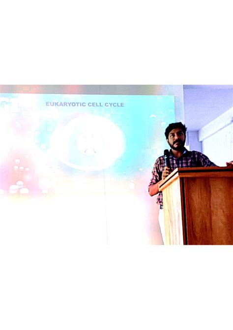 Cell Cycle Cell Biology Studocu