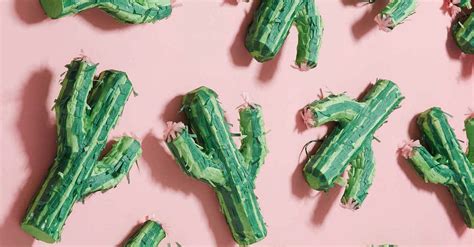 Cactus Gifts Popsugar Love Sex