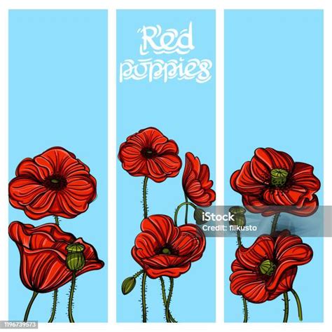 파란색 배경에 손으로 그린 빨간 양귀비와 벡터 수직 배너의 집합입니다 0명에 대한 스톡 벡터 아트 및 기타 이미지 0명 꽃