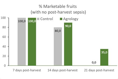 Eggplant Yield Increase And Quality Improvement Agrology