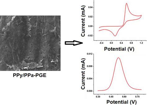 Journal Of Applied Polymer Science Wiley Online Library