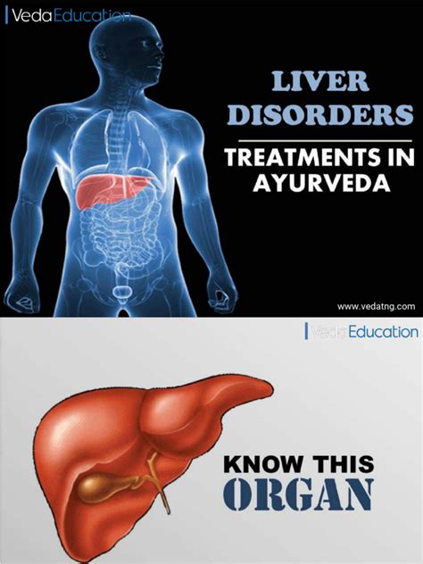 Liver Disorders Pdf Liver Gastroenterology