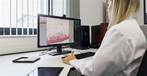 The Potential Of Digital Microscope Tips Tricks