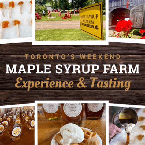 Authentic Maple Syrup Farm Experience Near Toronto Elliott Tree Farm