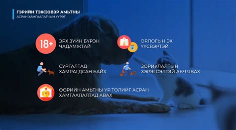 Гэрийн тэжээвэр амьтныг асрахад орлогын эх үүсвэртэй байх нохой муурын асран хамгаалагчийн