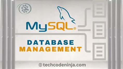 Impressive Mysql Database Management In 2024