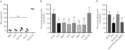 Multifunctional Autoprocessing Repeats In Toxins Martx Toxin Effector