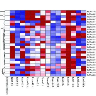 Heat Map Of The Expression Profiles Of 26 BpGRASs Heat Map Of The