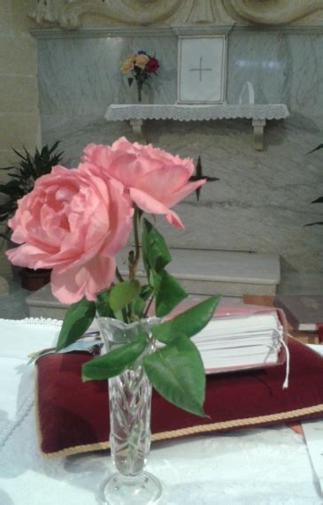 Rose Nouwen Feet