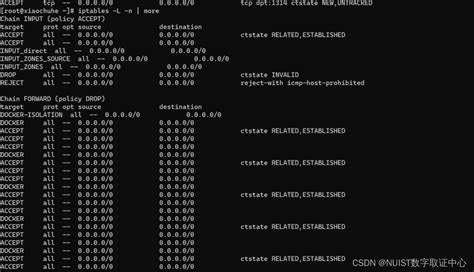 【linux基础】基础取证命令集合取证常用命令 Csdn博客