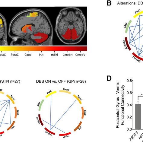 Hongjiang Wei Professor Shanghai Jiao Tong University Shanghai Sjtu Med X Research
